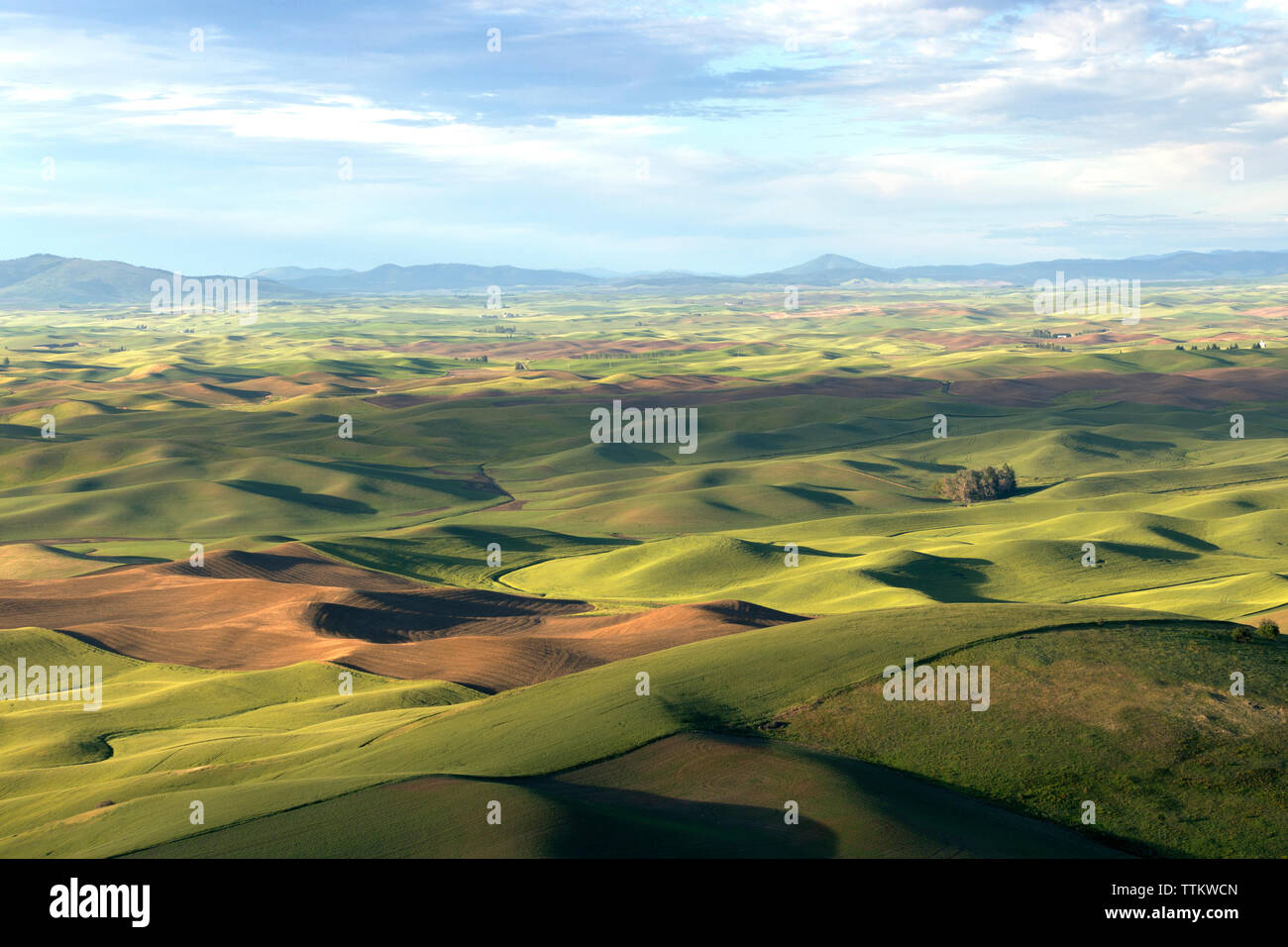 Rolling landscape crops hi-res stock photography and images - Alamy