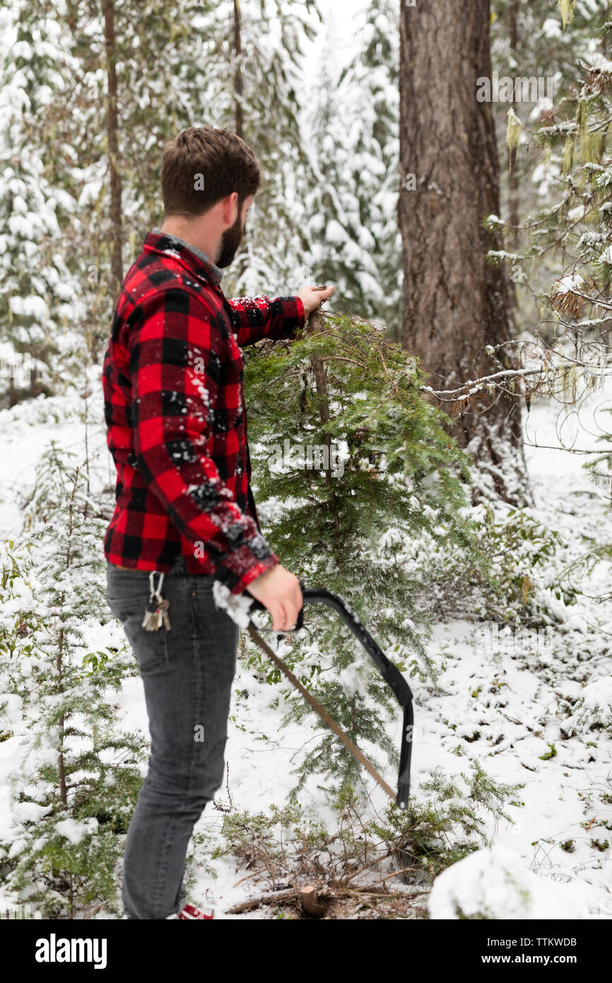 Man tree hi-res stock photography and images - Alamy