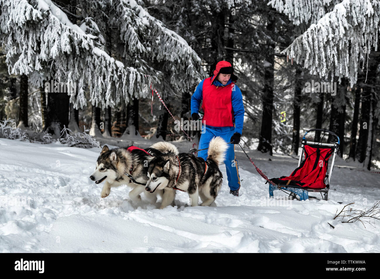 Siberian man hi-res stock photography and images - Alamy