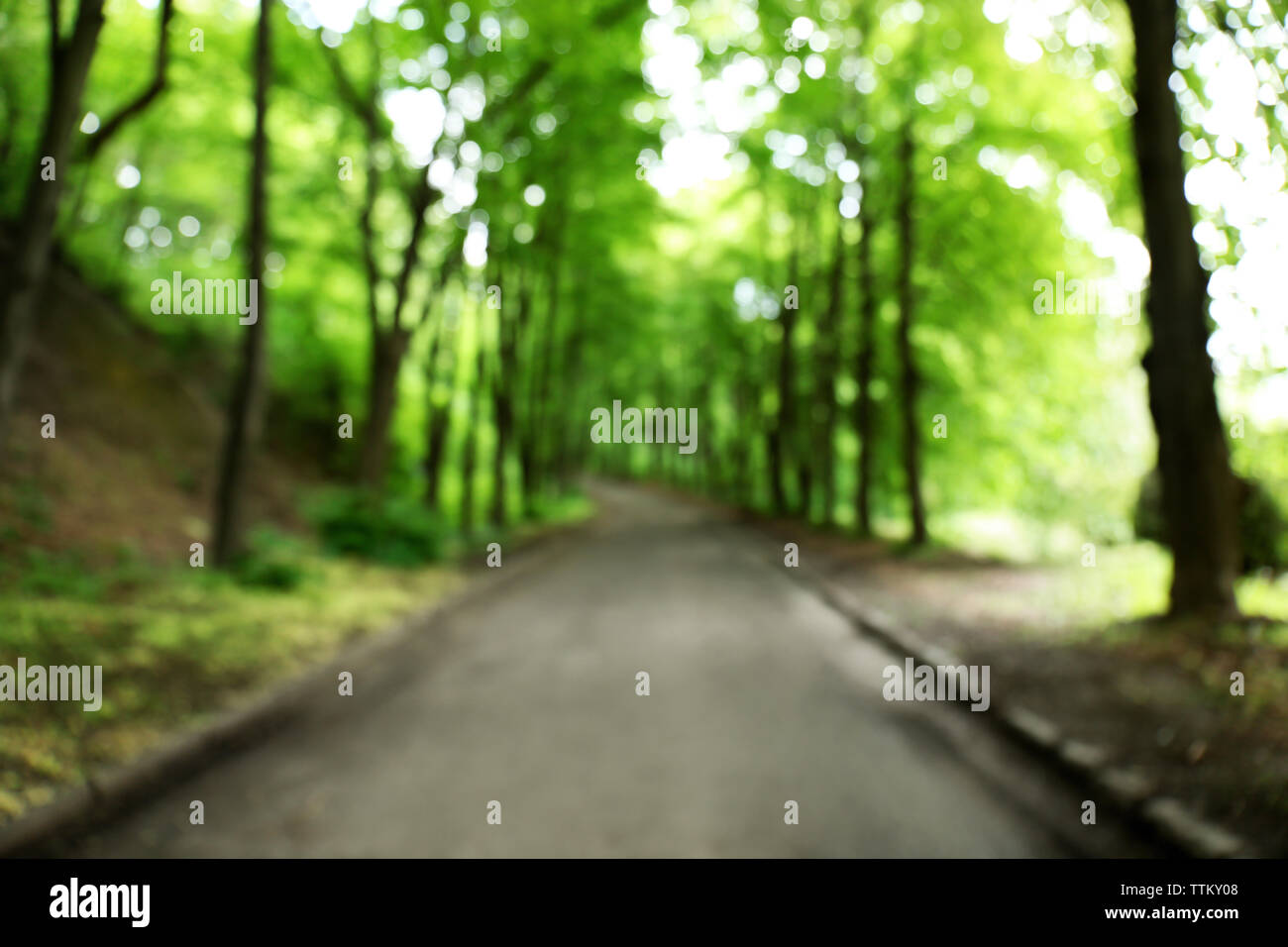 Botany park in spring Stock Photo - Alamy