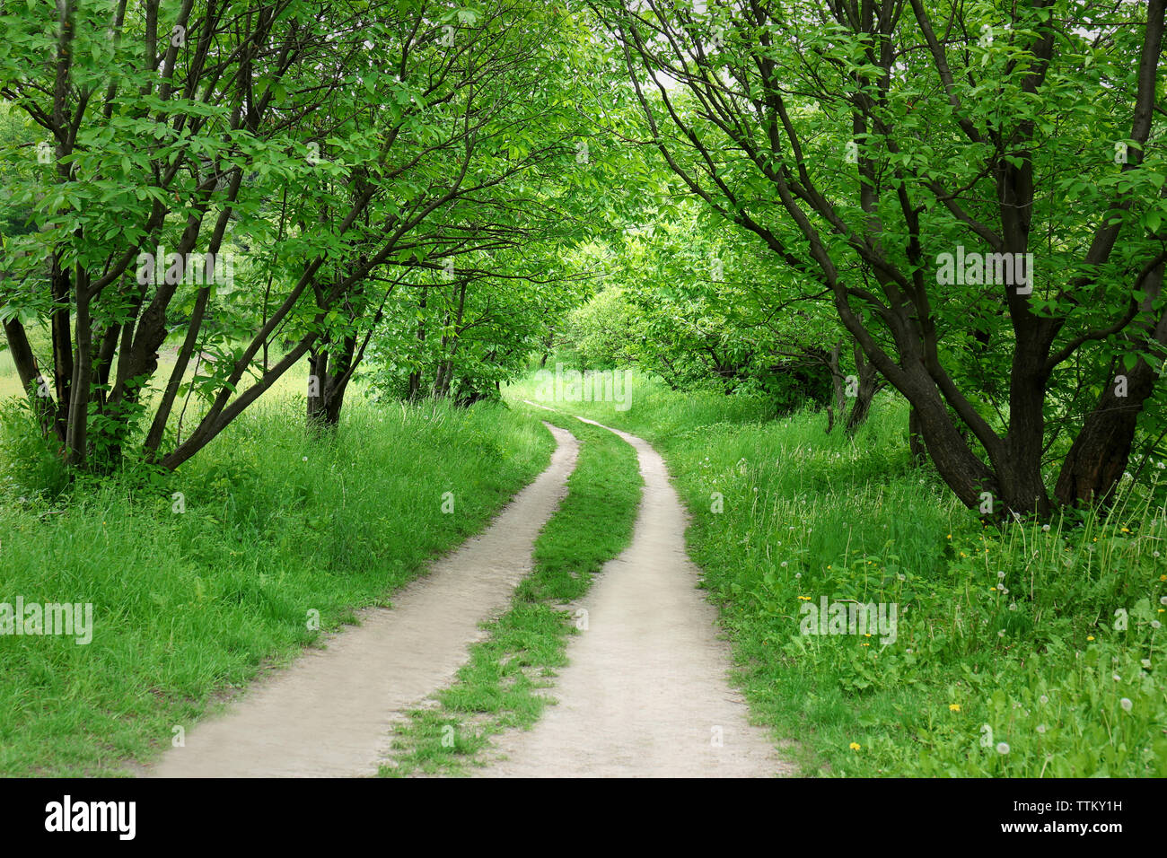 Botany park in spring Stock Photo - Alamy