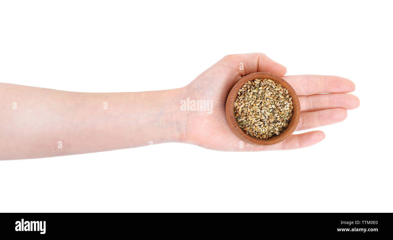 Hand holding wooden bowl with dried utsho suneli isolated on white ...