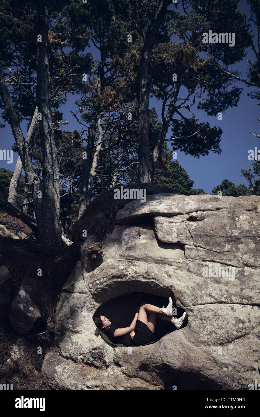 Rock trees hi-res stock photography and images - Alamy
