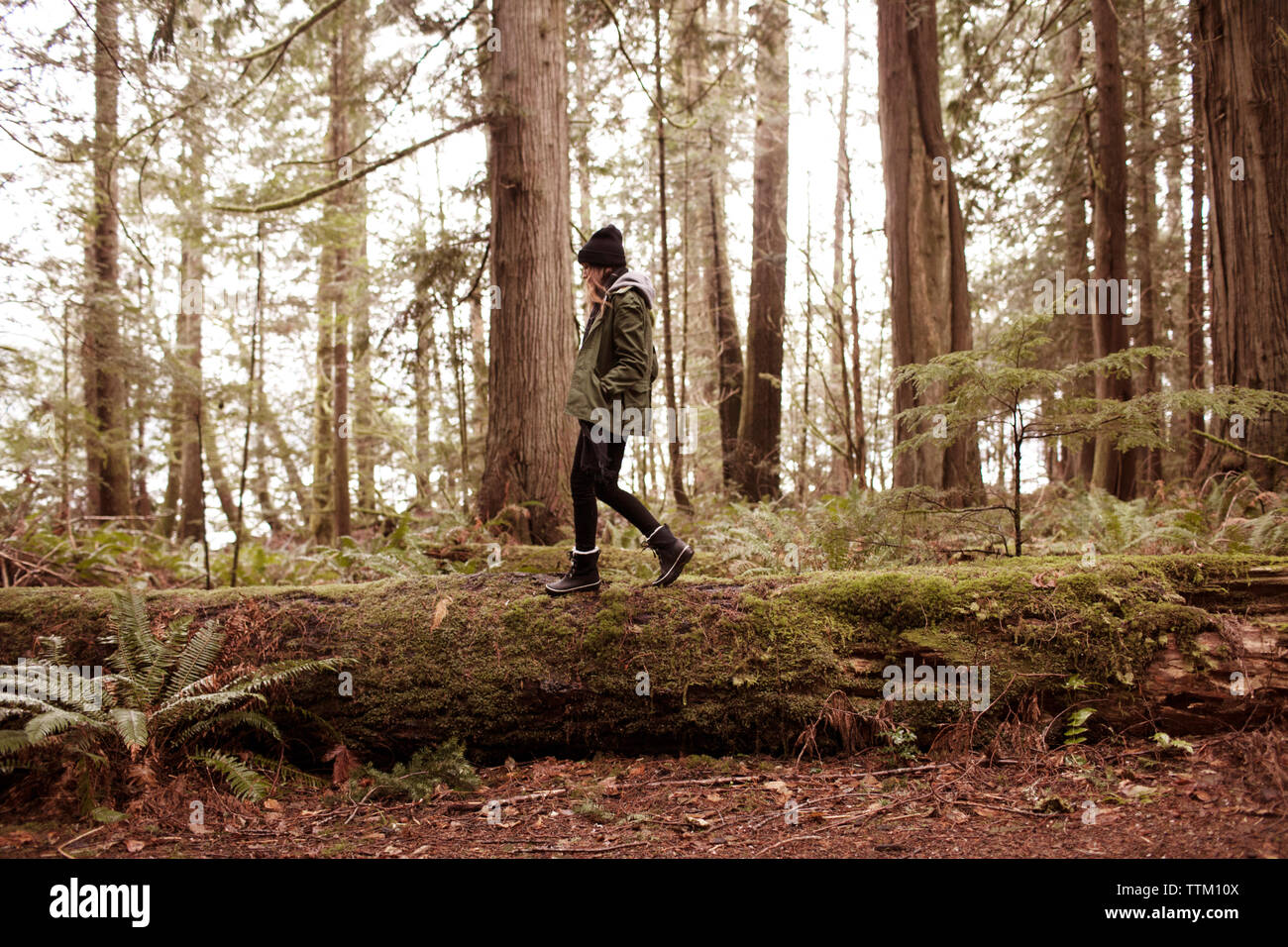 Side view of woman walking on fallen tree in forest Stock Photo - Alamy