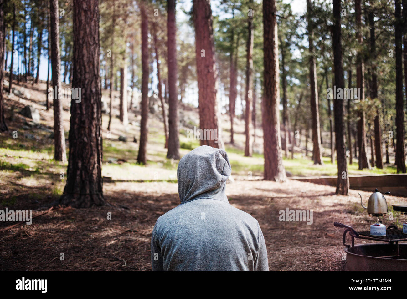 Rear view of man wearing hood at field against trees Stock Photo - Alamy