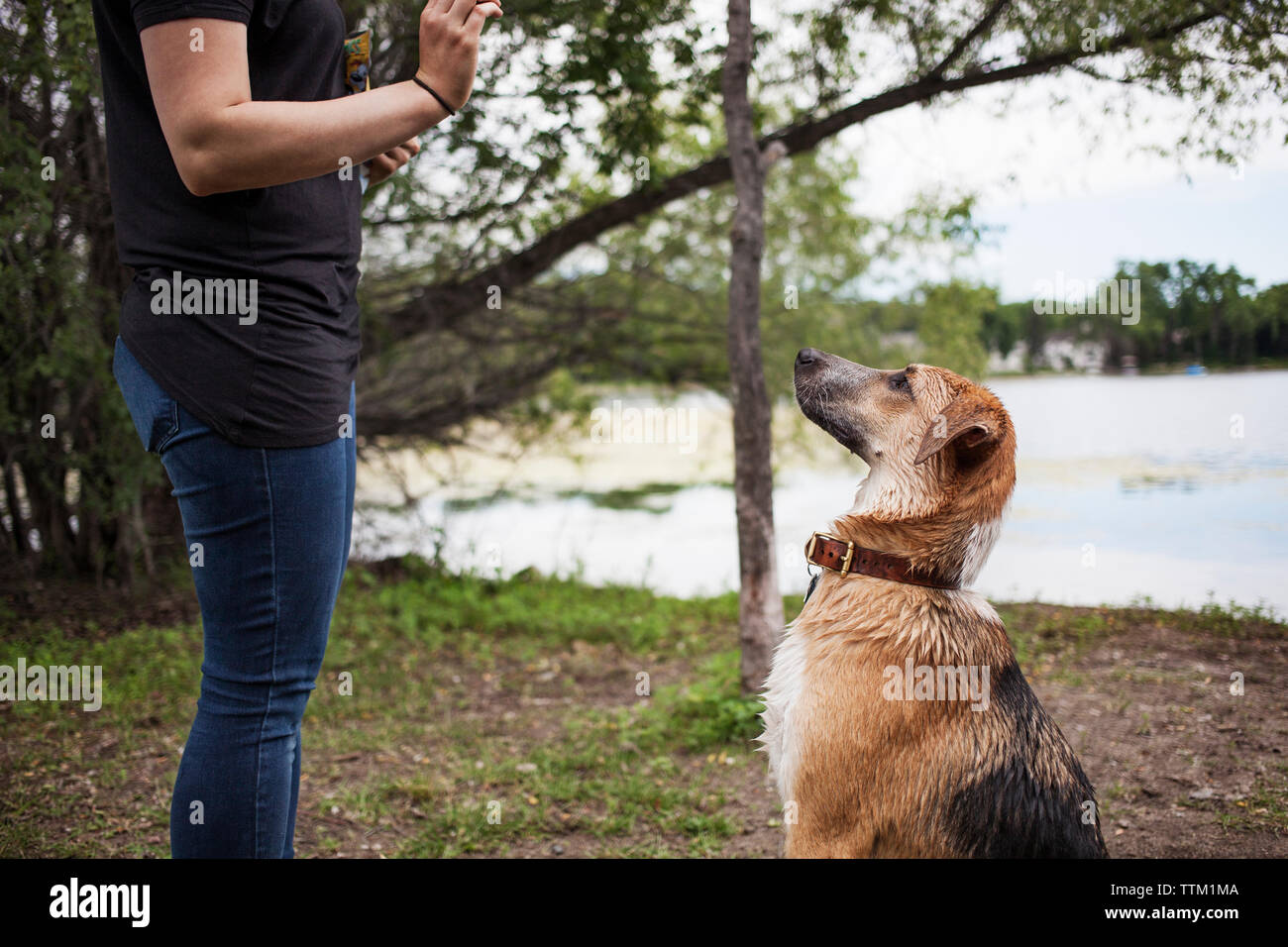 Side view of woman and dog standing on field Stock Photo - Alamy