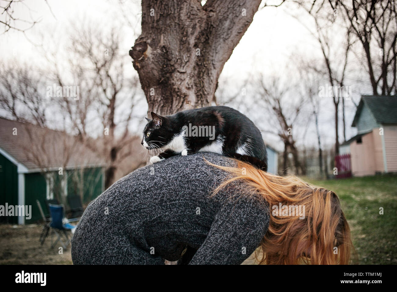 Cat sitting on woman bending at field Stock Photo - Alamy
