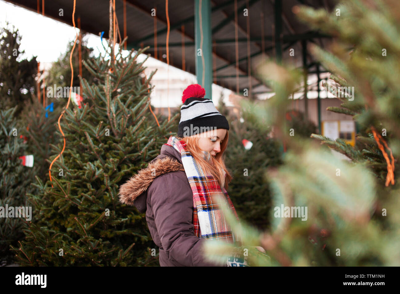 Side view of woman looking at christmas trees Stock Photo - Alamy