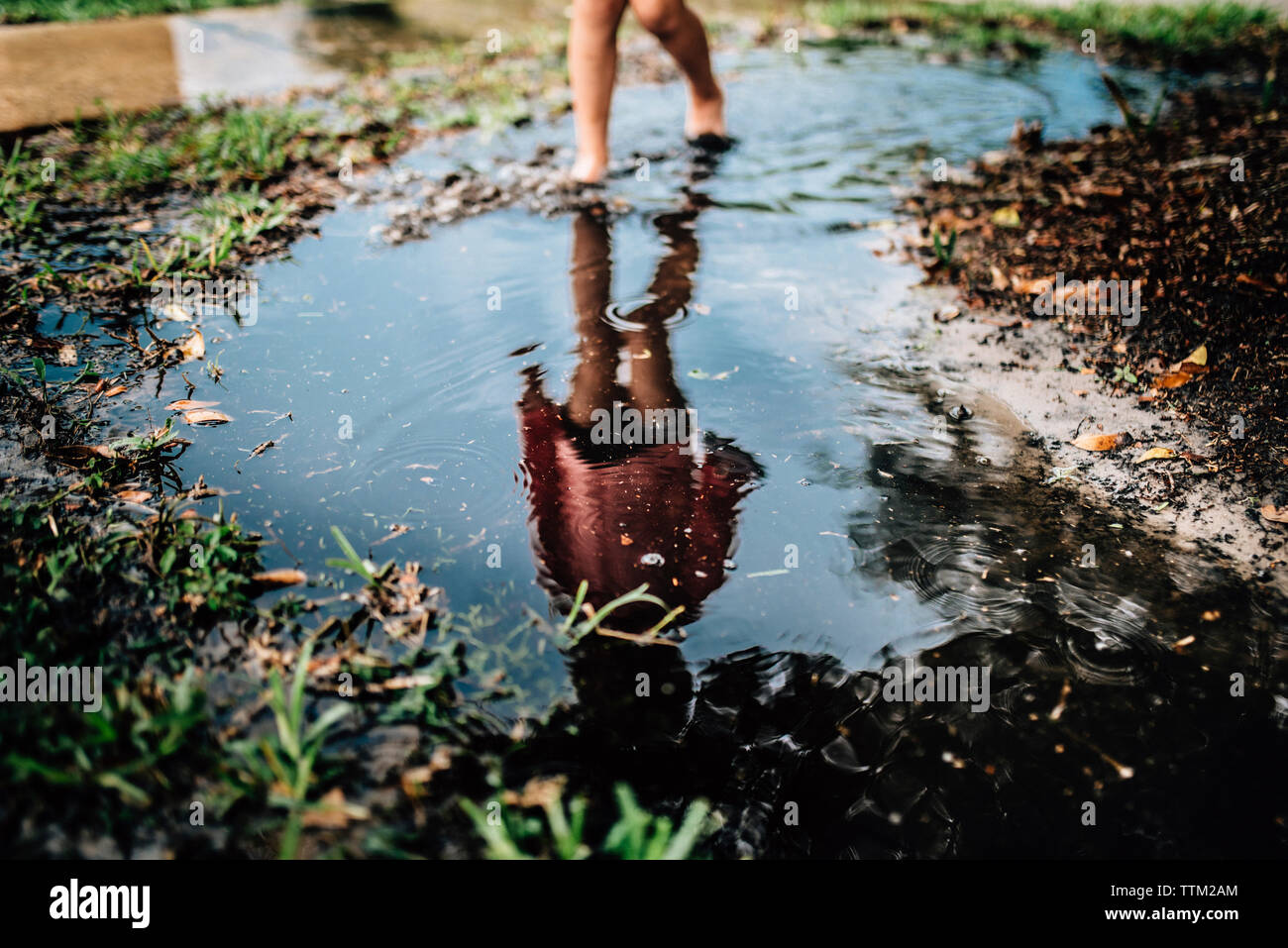 Reflection in mud puddle hi-res stock photography and images - Alamy