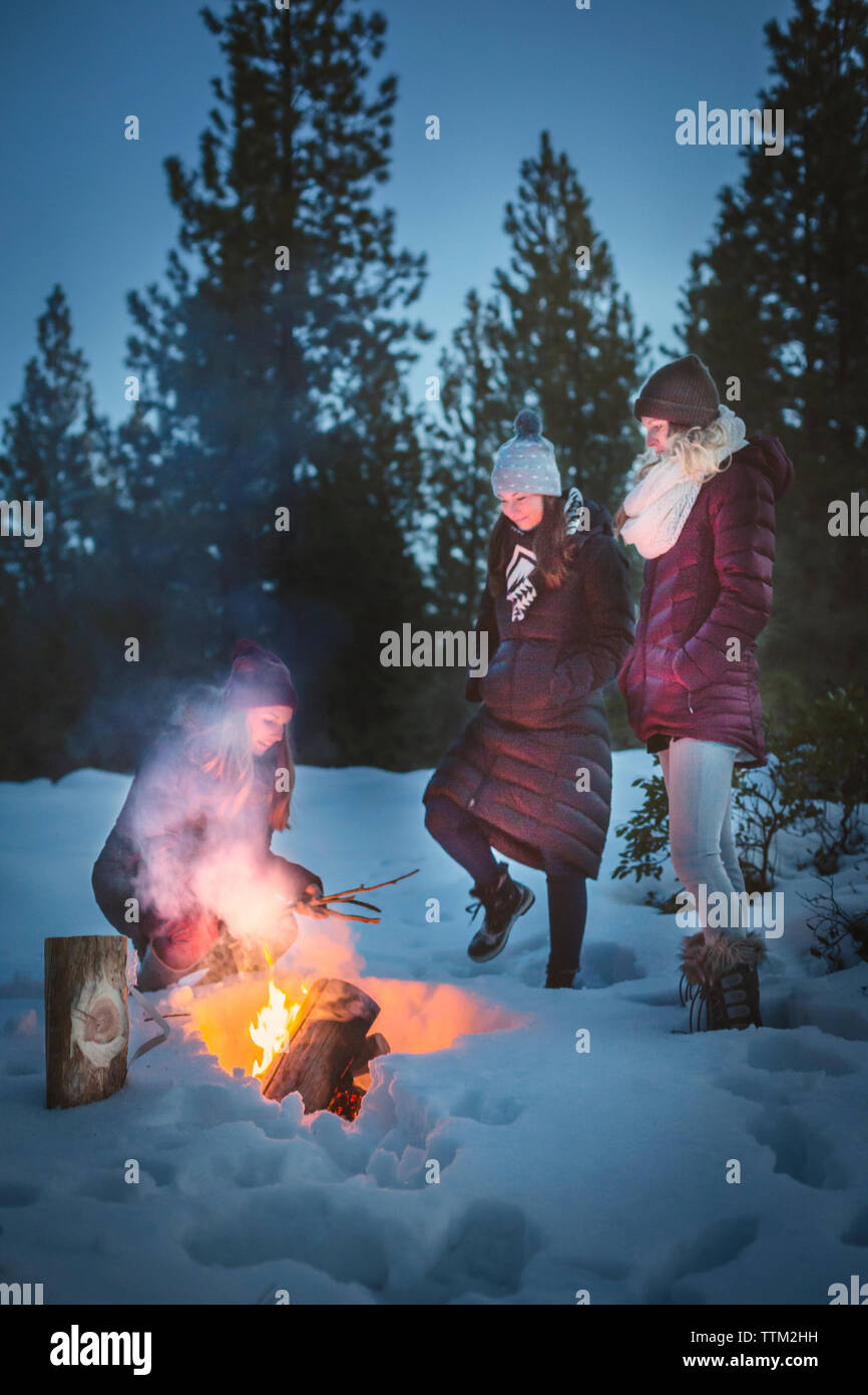 Camp fire smoke with trees hi-res stock photography and images - Alamy