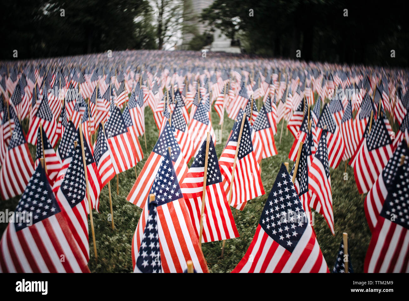 Field of american flags hi-res stock photography and images - Alamy