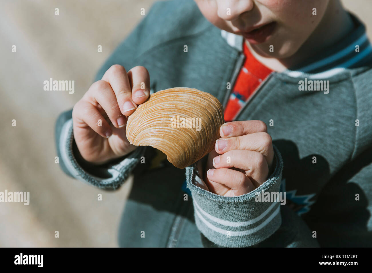Hands holding seashell hi-res stock photography and images - Alamy