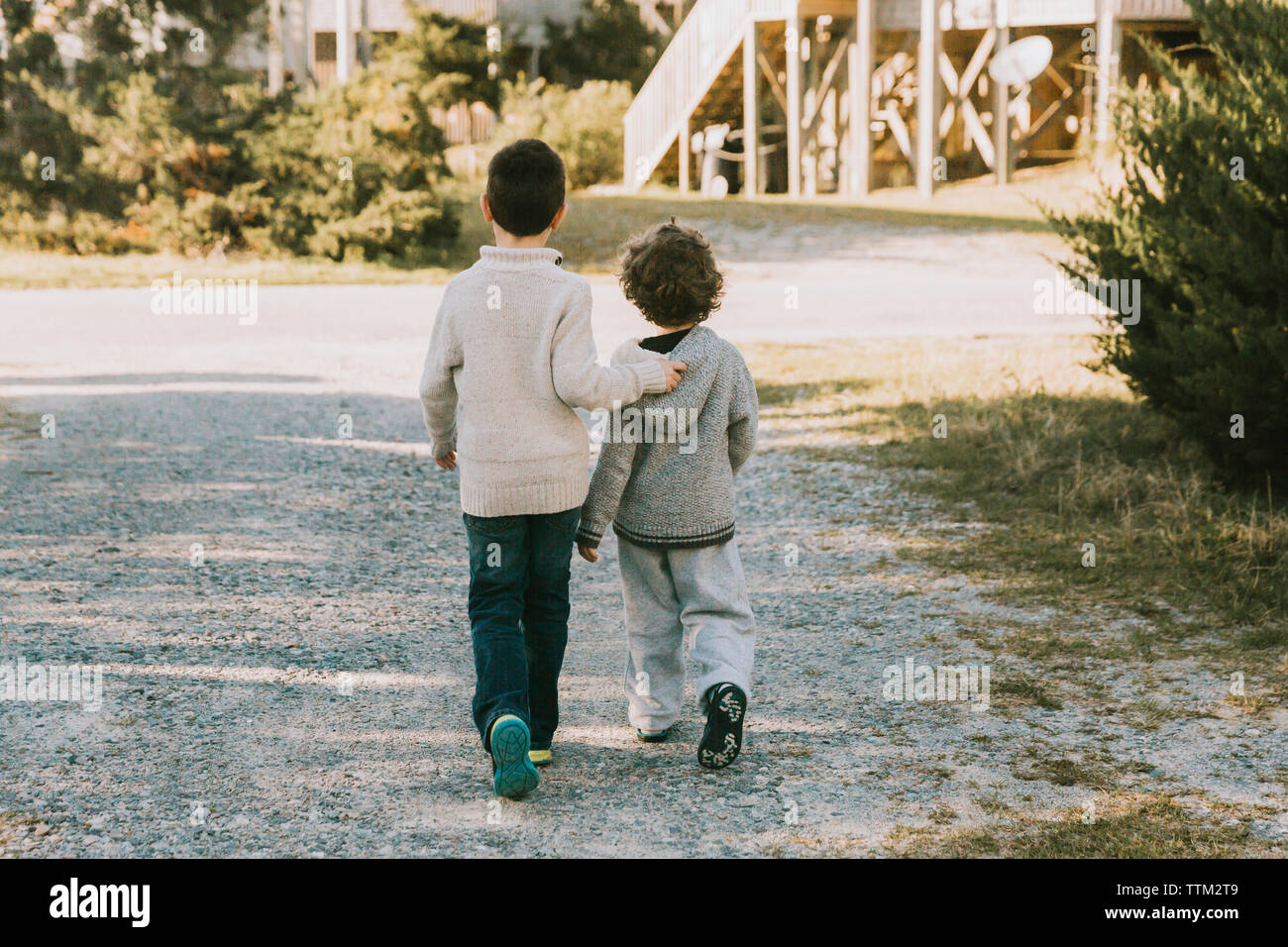 Rear view of brothers walking on field Stock Photo - Alamy