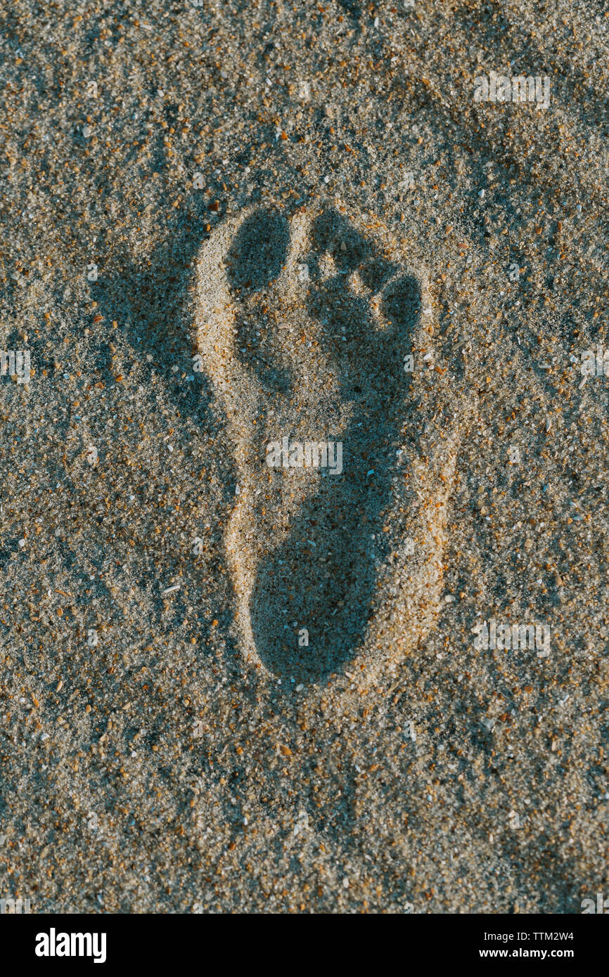 Overhead view of footprint on sand at beach during sunny day Stock ...