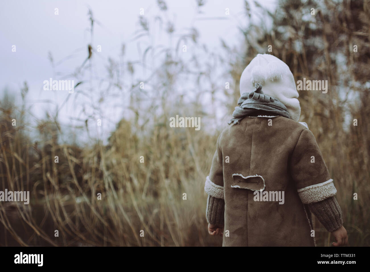 Baby girl rear view hi-res stock photography and images - Alamy