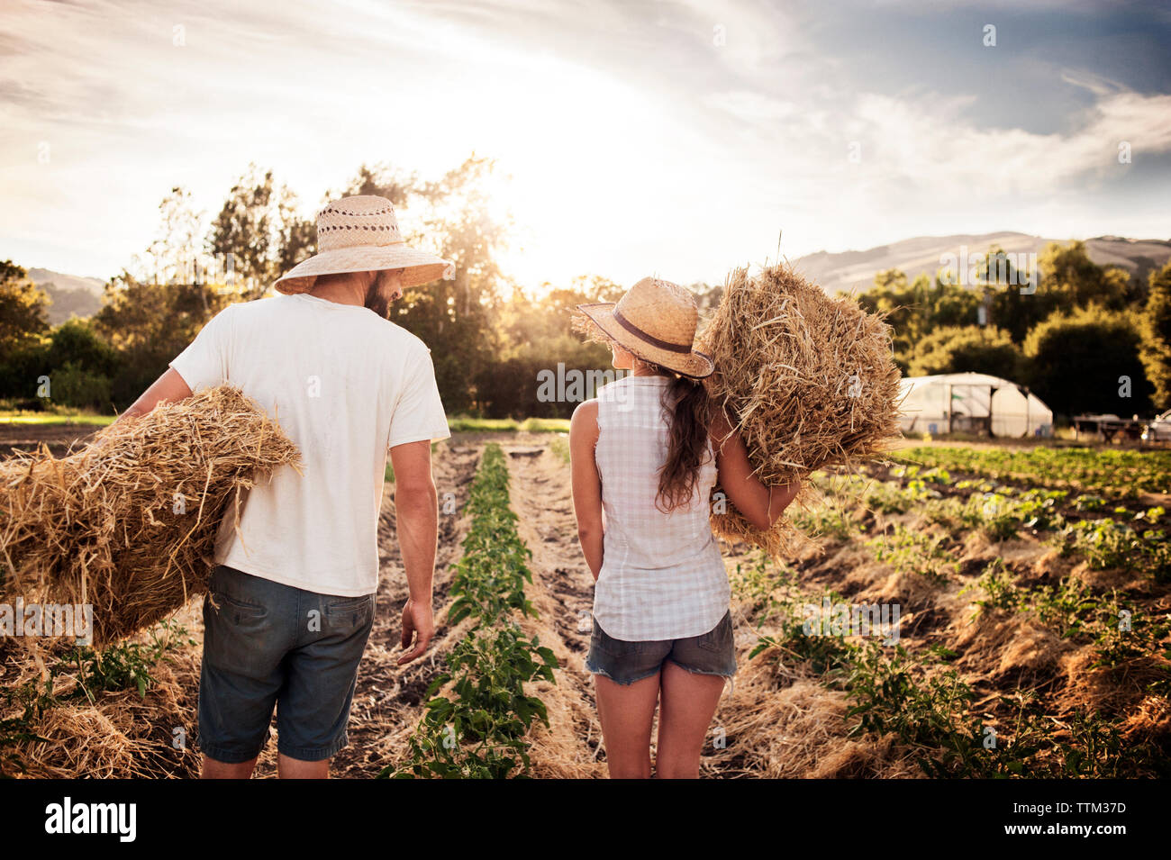 Woman carrying bale hay hi-res stock photography and images - Alamy