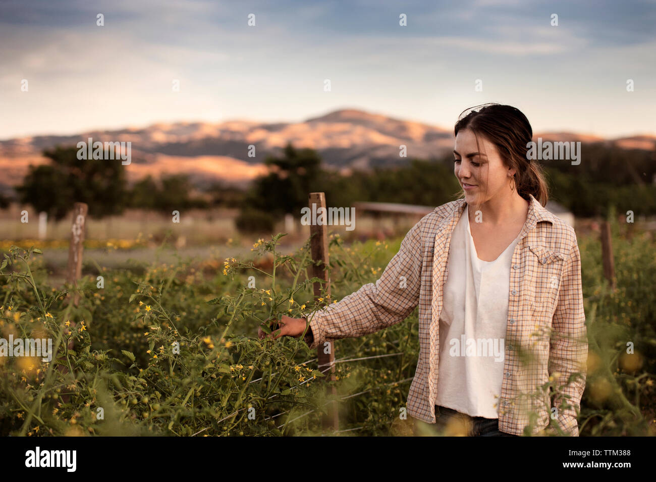 Female agriculture hi-res stock photography and images - Alamy