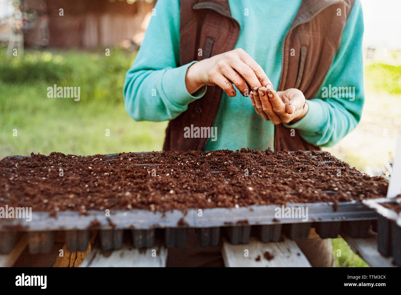 Planting seed hi-res stock photography and images - Alamy