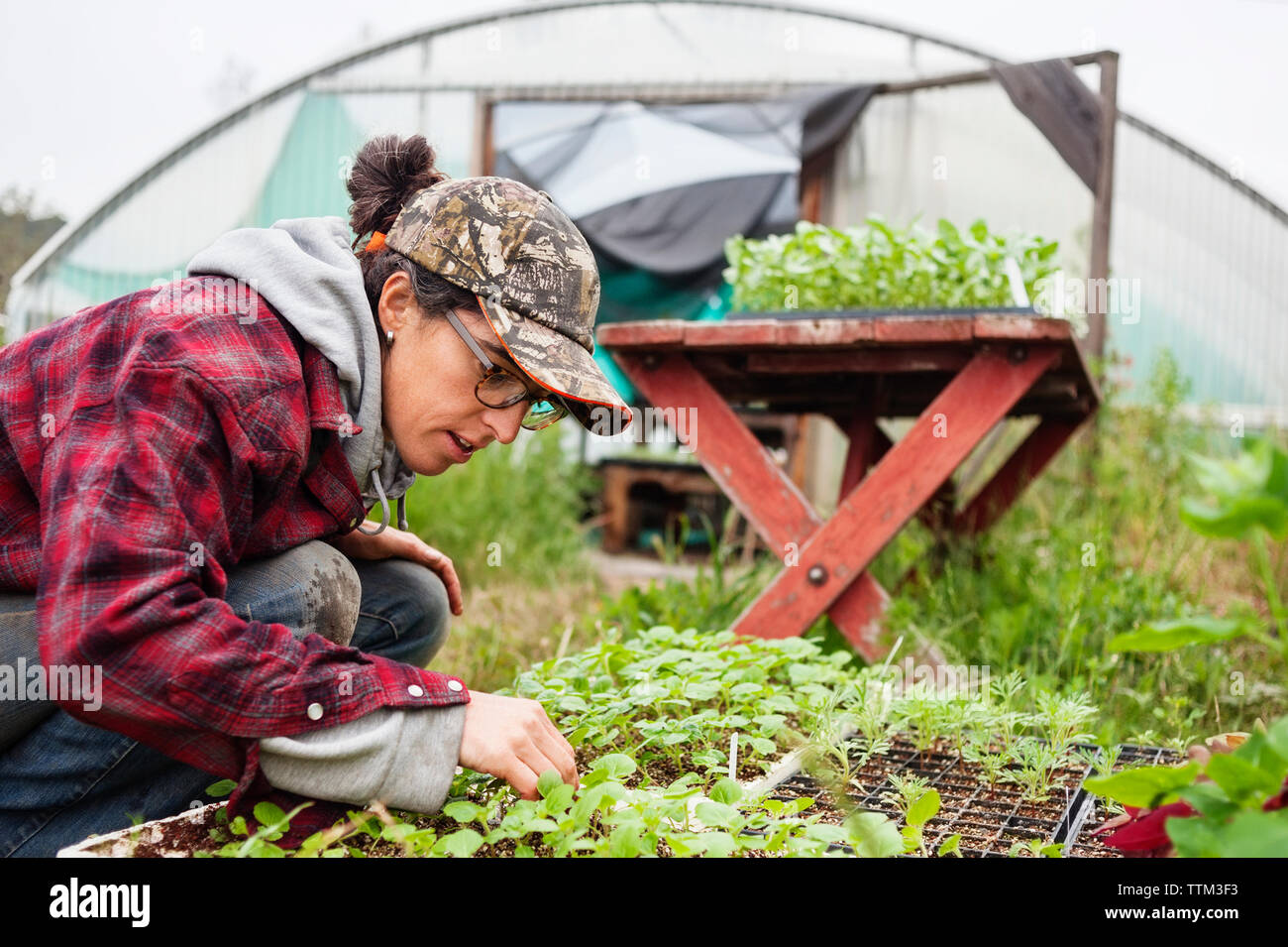 Farmer working at farm hi-res stock photography and images - Alamy