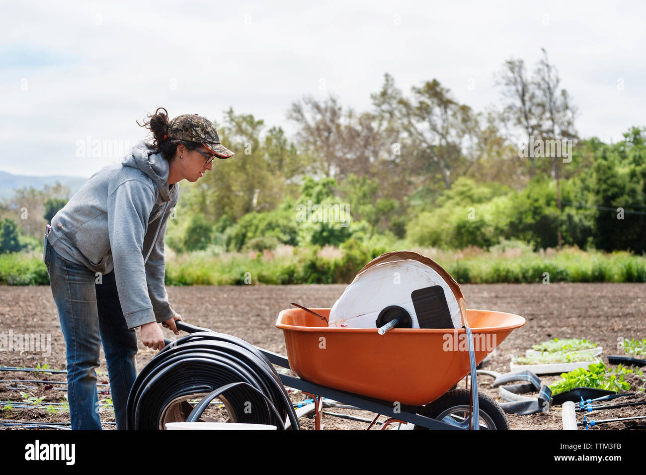 Side view of female farmer pushing wheelbarrow on field Stock Photo - Alamy