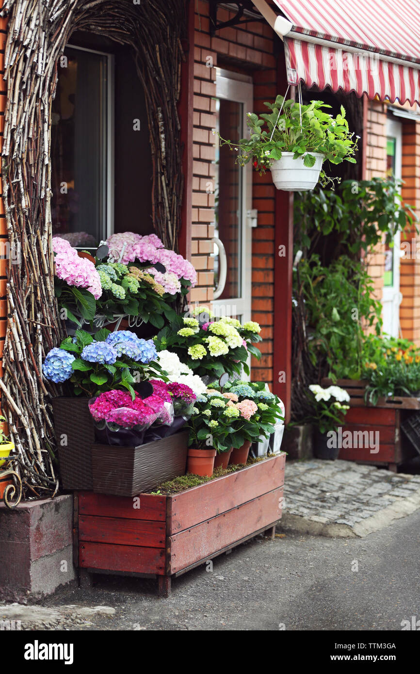 Small flower shop in the street Stock Photo - Alamy