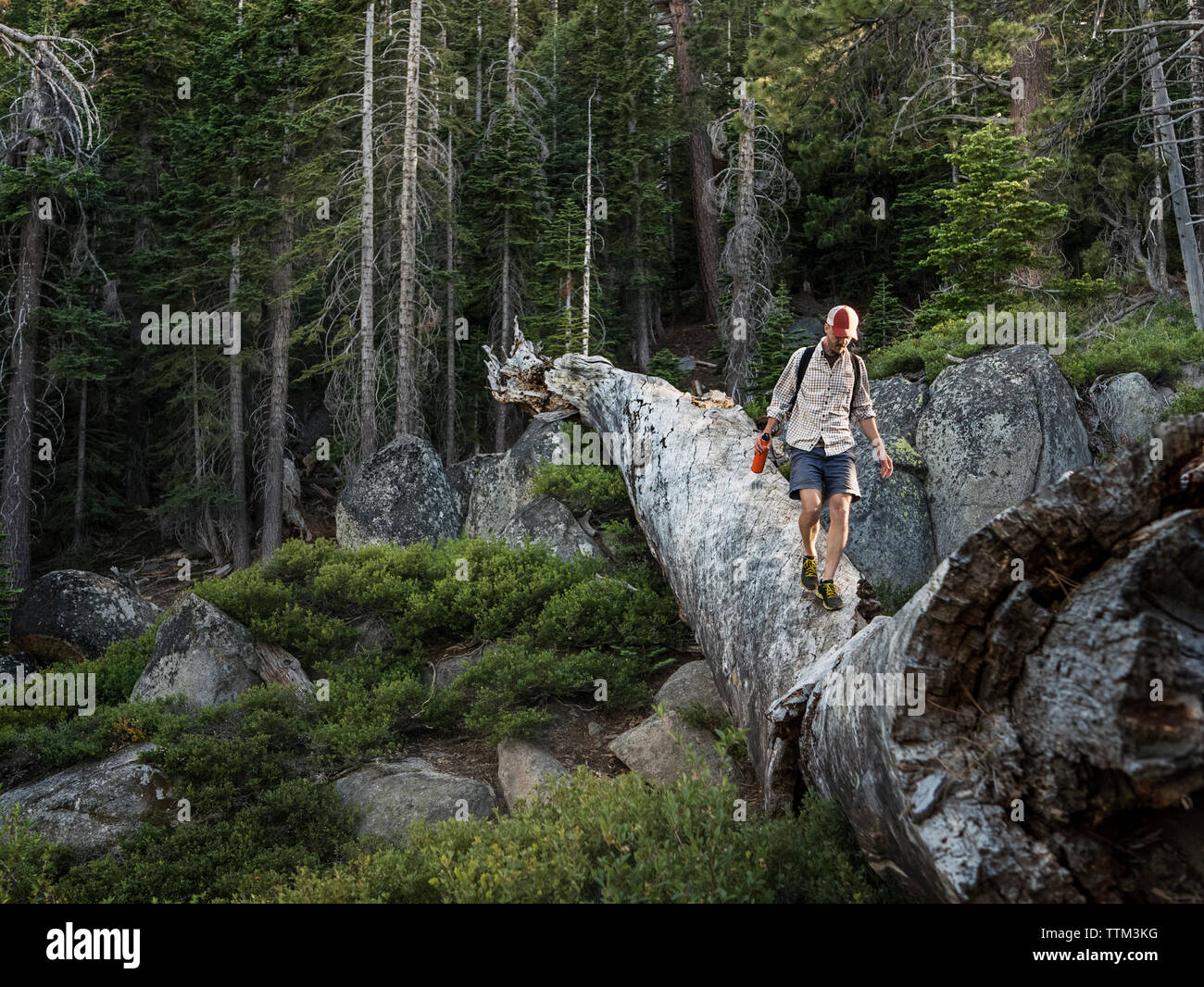 Man fallen hi-res stock photography and images - Alamy