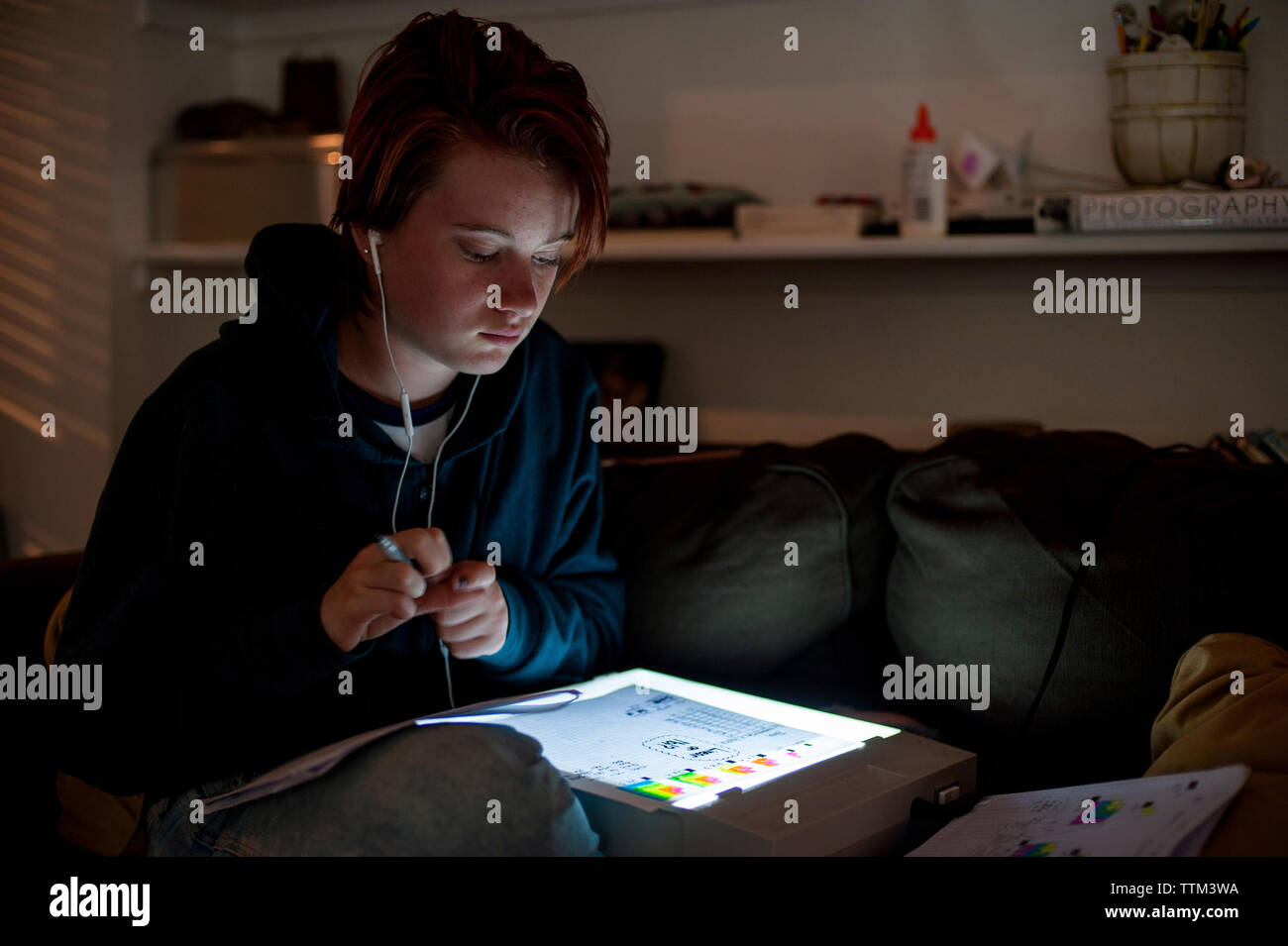 Teenage girl using computer at home hi-res stock photography and images ...