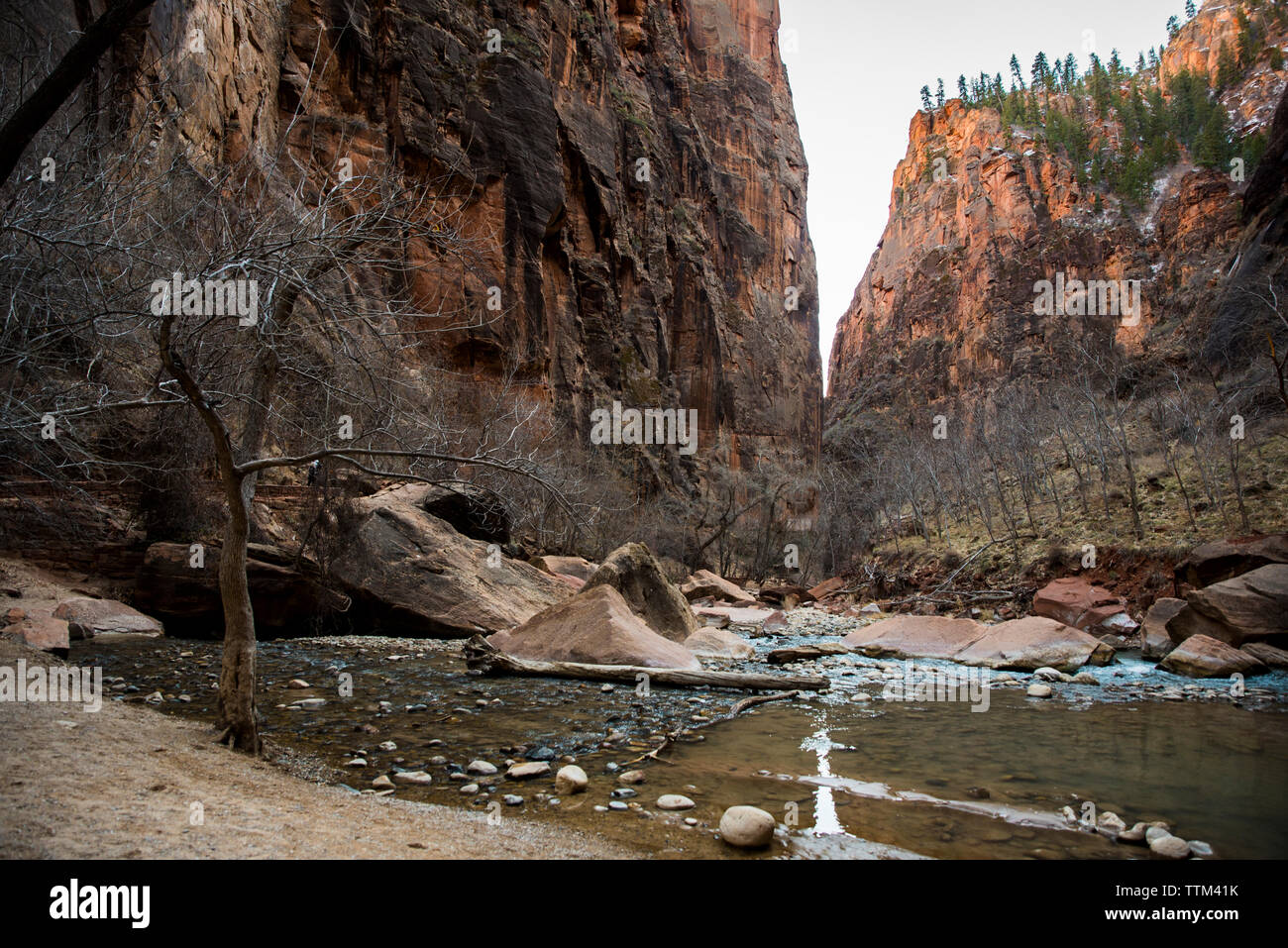 Desert stream hi-res stock photography and images - Alamy