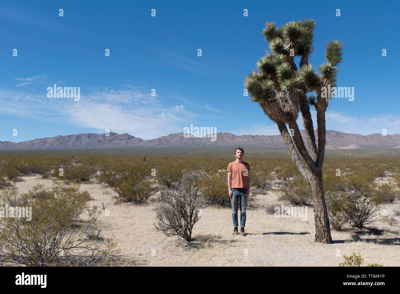 Man standing tree hi-res stock photography and images - Alamy