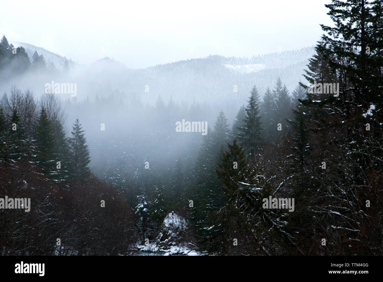 Mountains of the mist hi-res stock photography and images - Alamy
