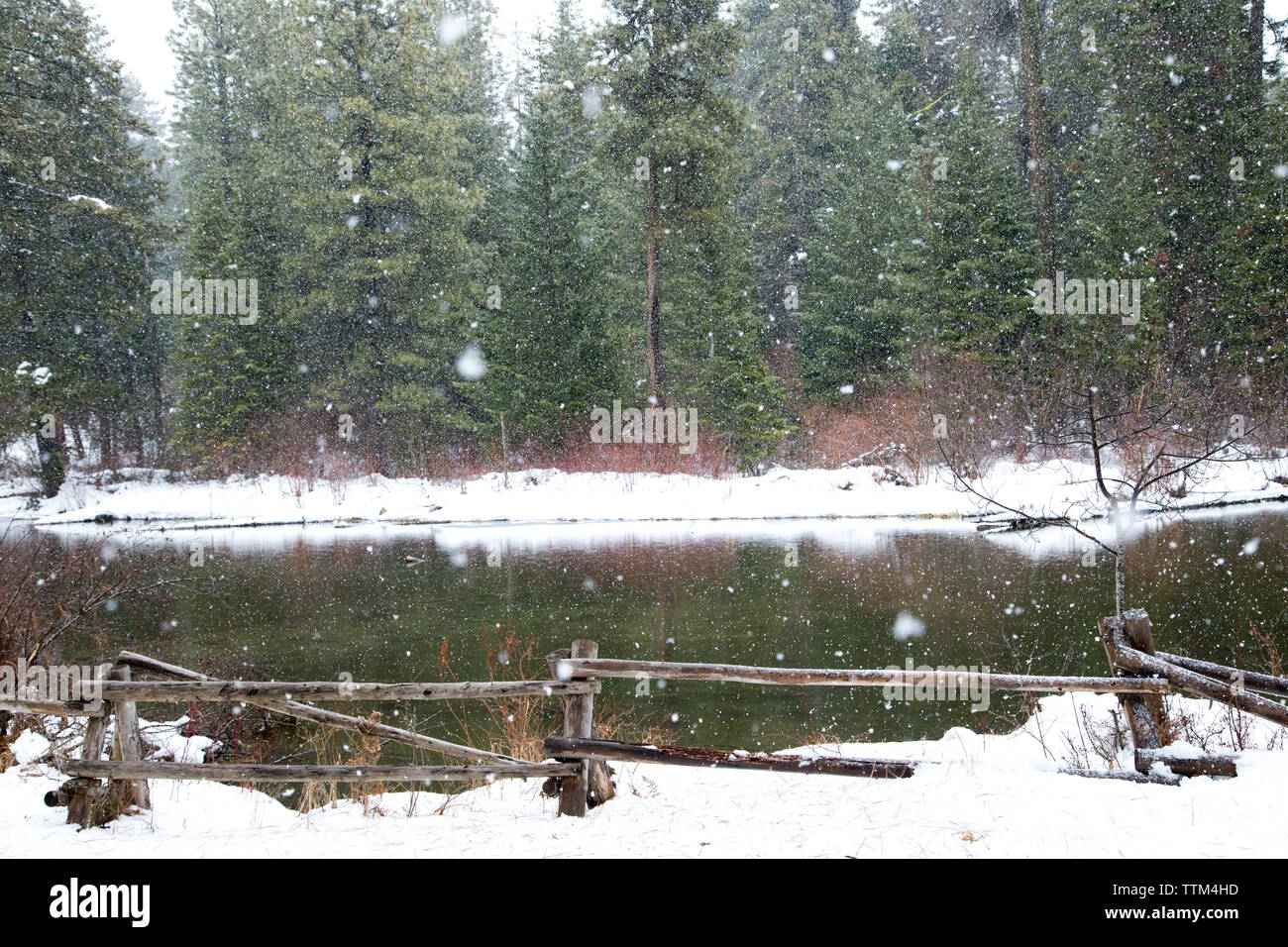Snow falling on lake hi-res stock photography and images - Alamy