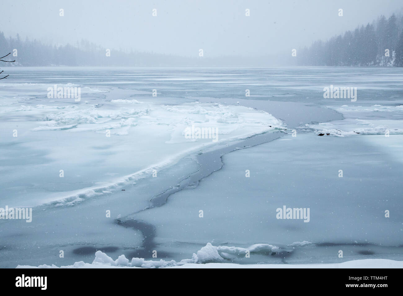 Frozen snowstorm hi-res stock photography and images - Alamy