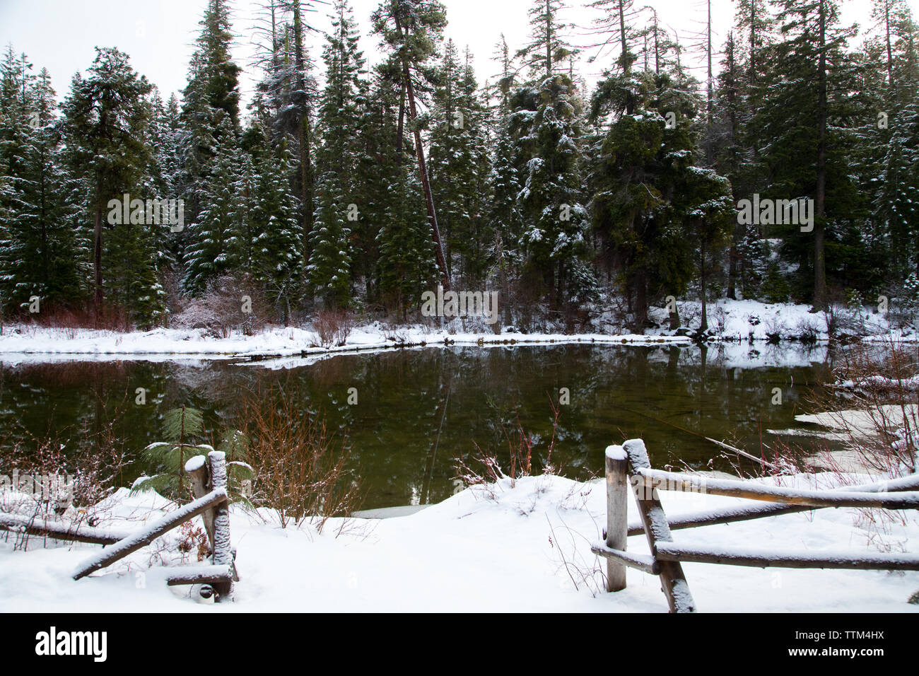 Winter pond trees hi-res stock photography and images - Alamy