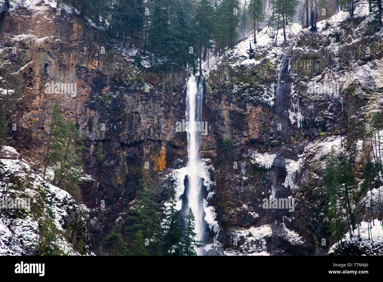 frozen waterfall in forest over cliff Stock Photo - Alamy