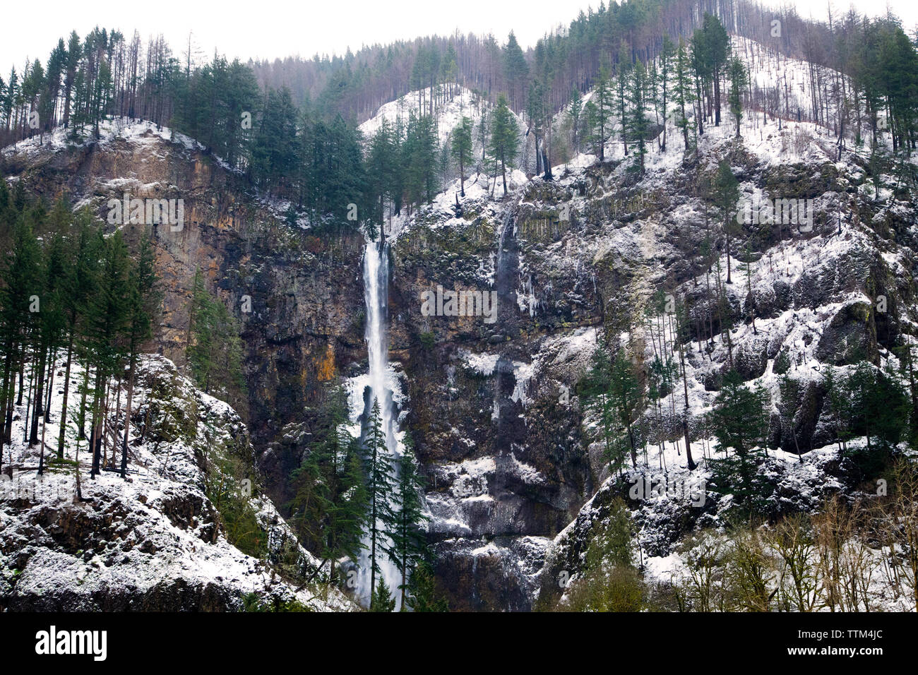 frozen waterfall in forest over cliff Stock Photo - Alamy