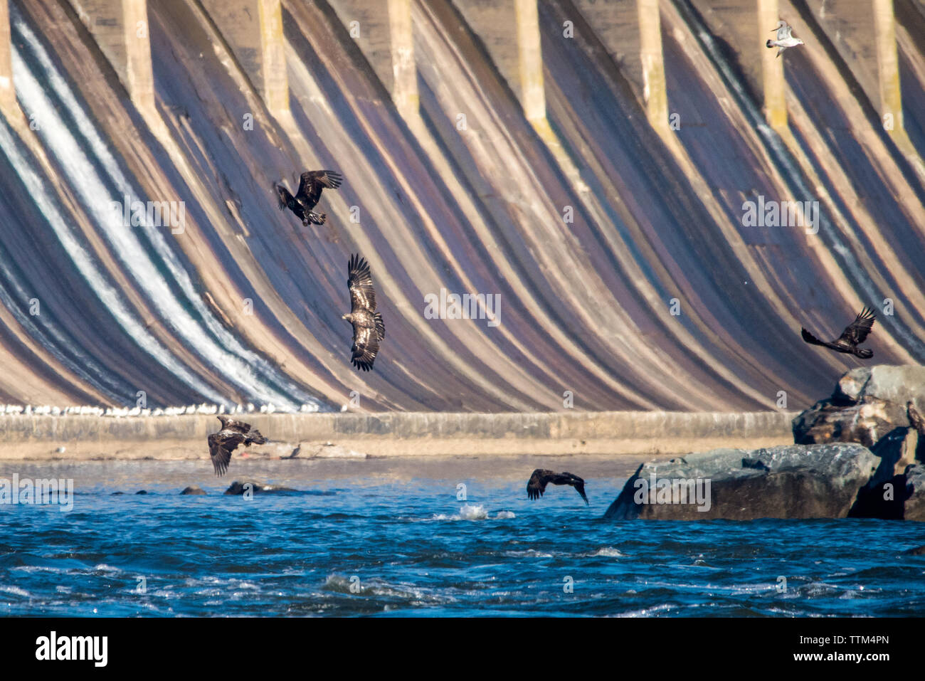 Conowingo dam hi-res stock photography and images - Alamy