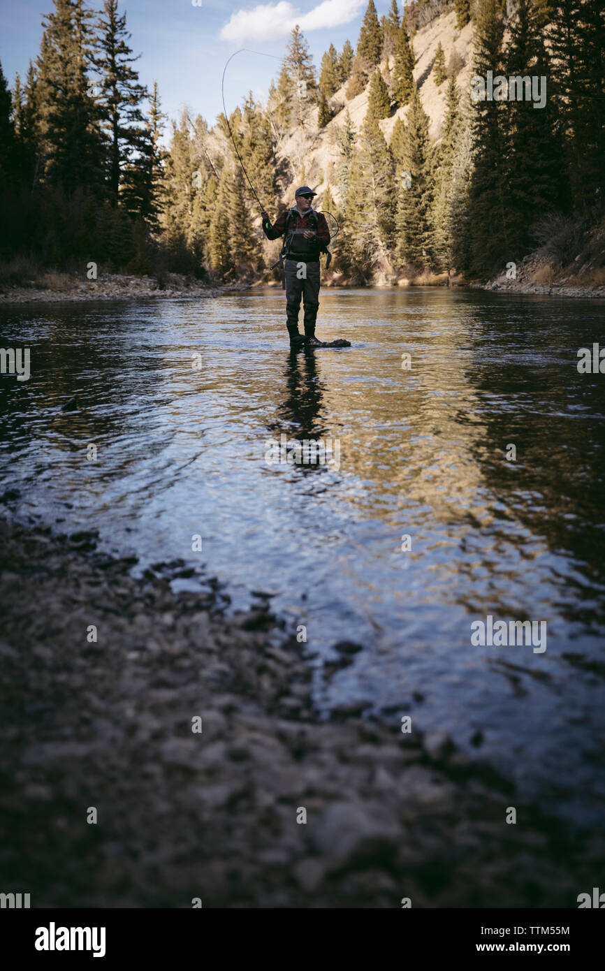 Man fishing while standing in river at forest Stock Photo - Alamy