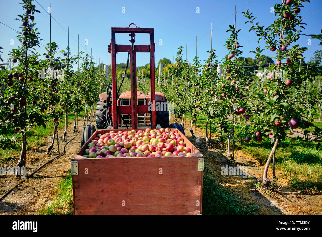Tractor trailer food hi-res stock photography and images - Alamy