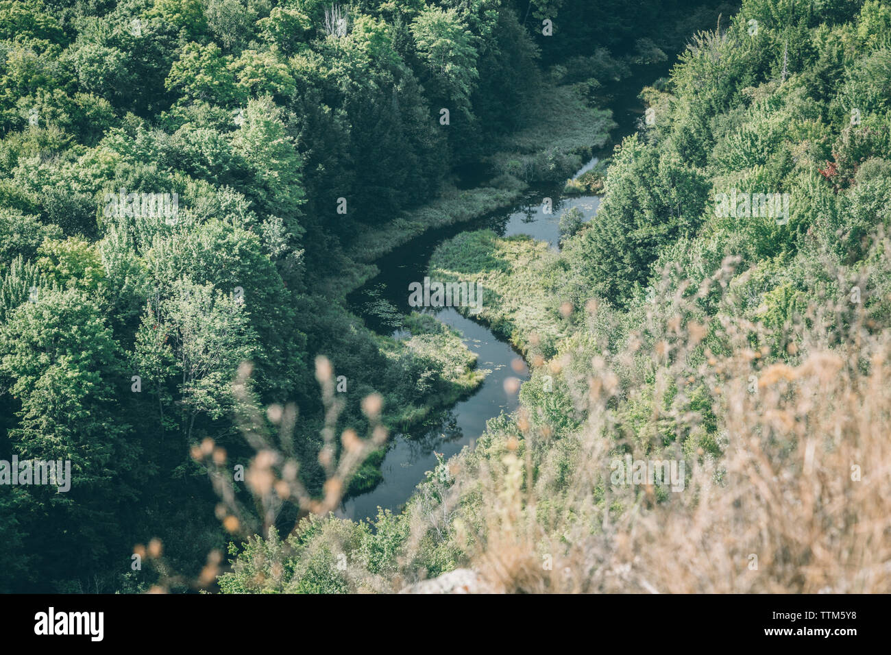 Sunlight And Stream Plants High Resolution Stock Photography and Images ...