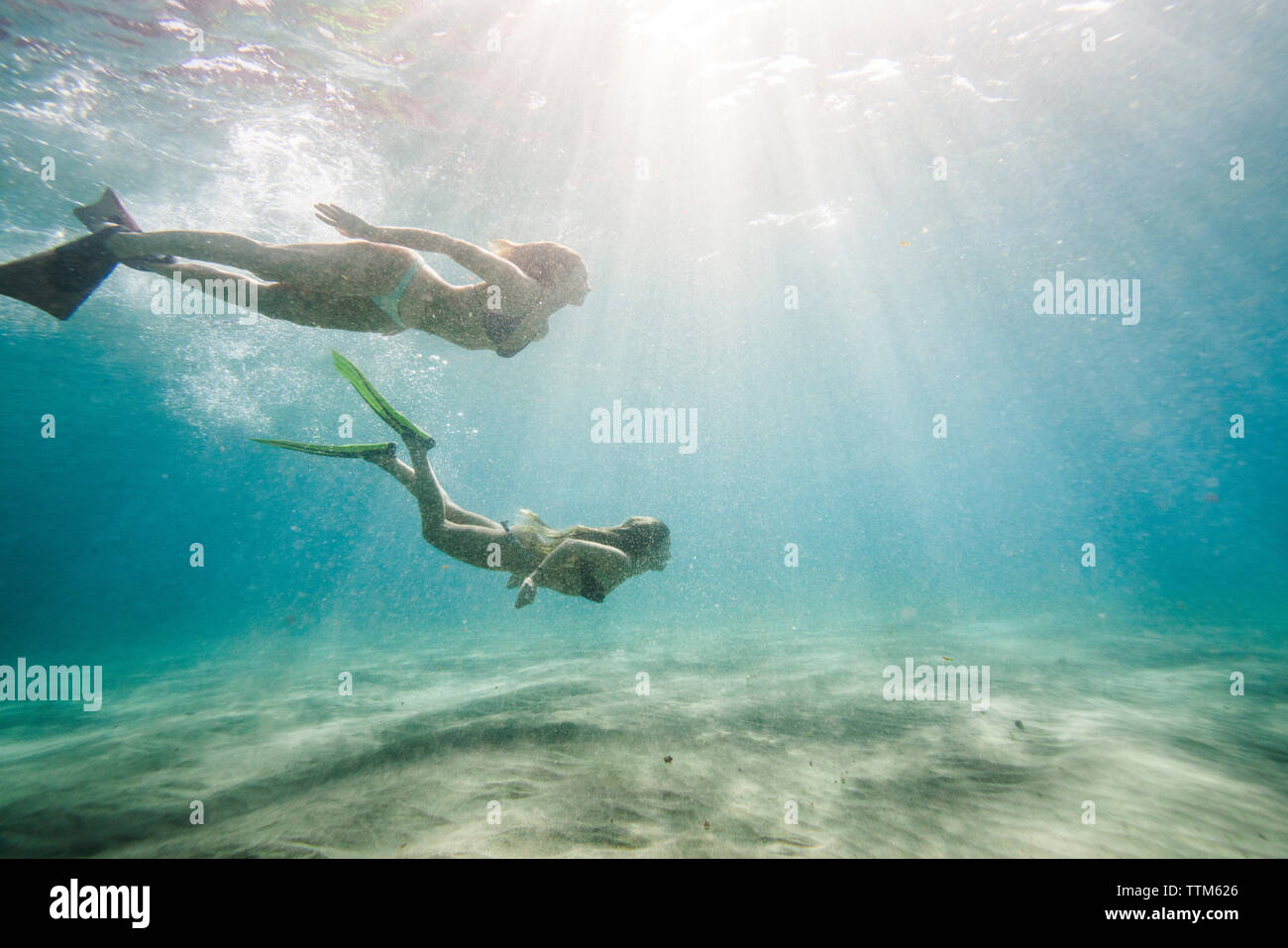Female friends swimming undersea Stock Photo - Alamy