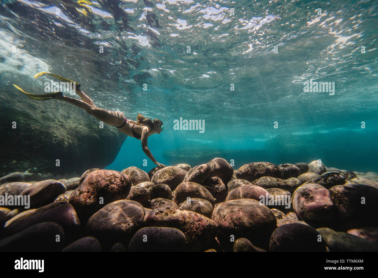 Side view of woman diving undersea Stock Photo - Alamy