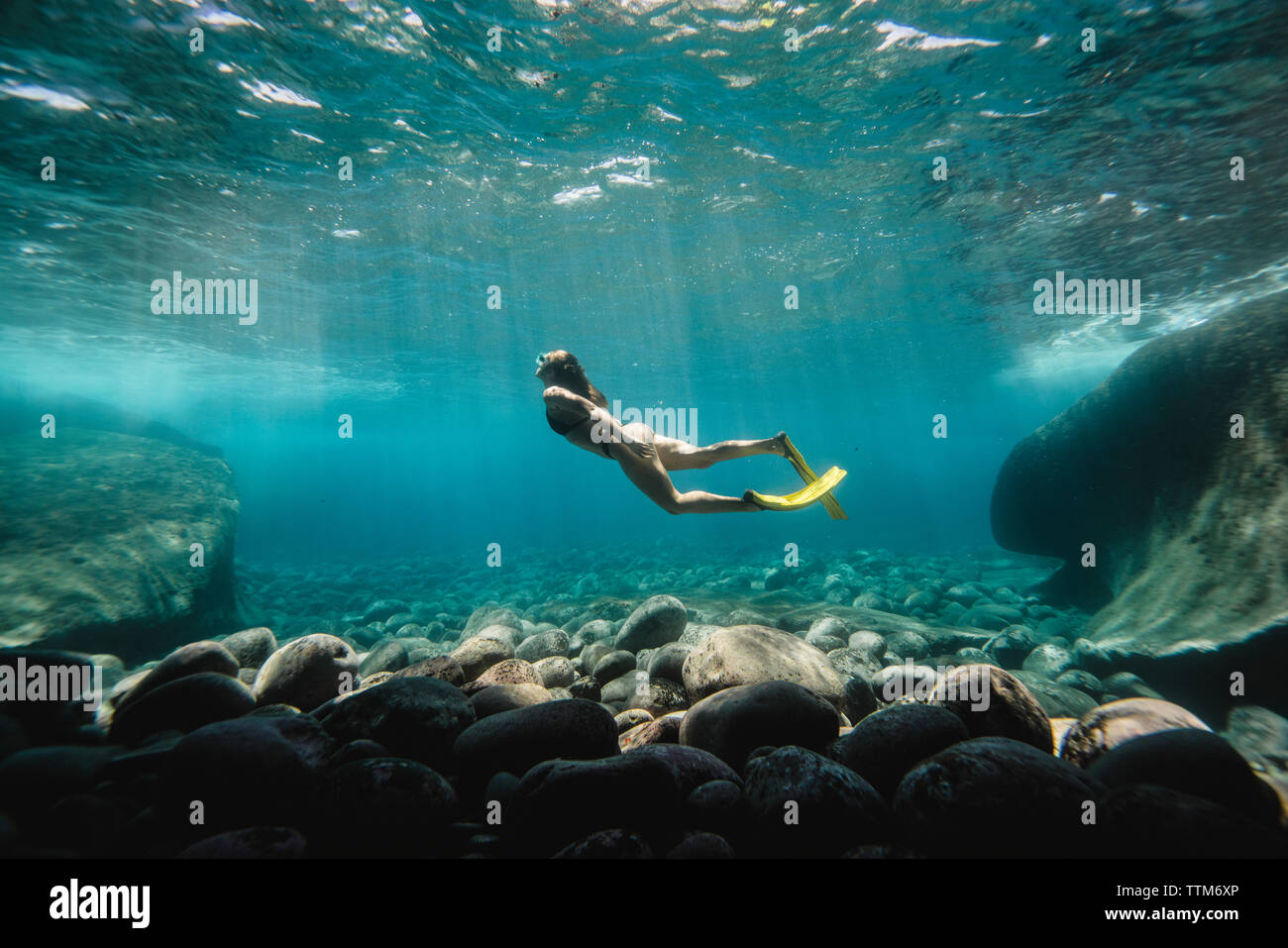 Side view of woman diving underwater in sea Stock Photo - Alamy