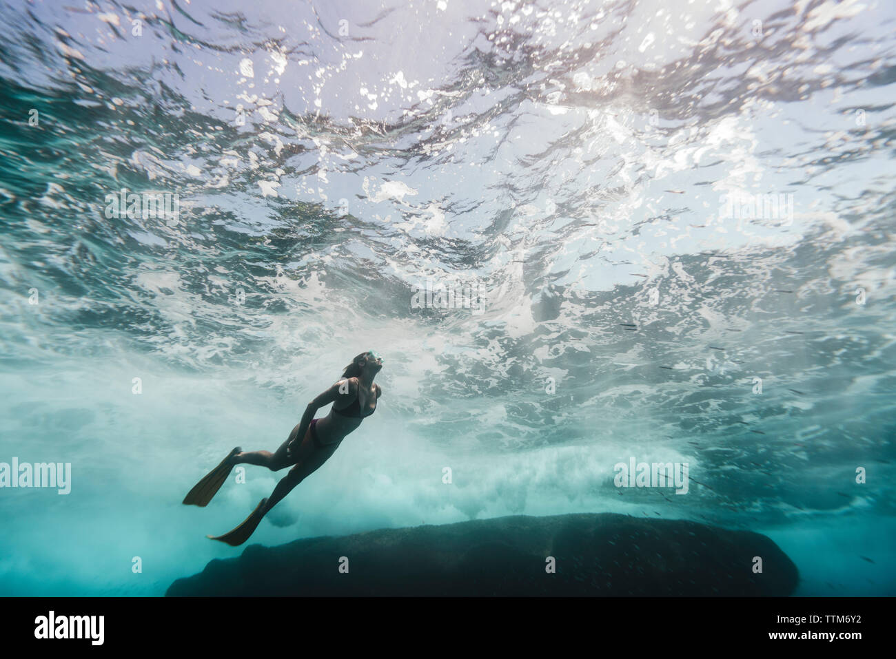 Woman diving into water hi-res stock photography and images - Alamy