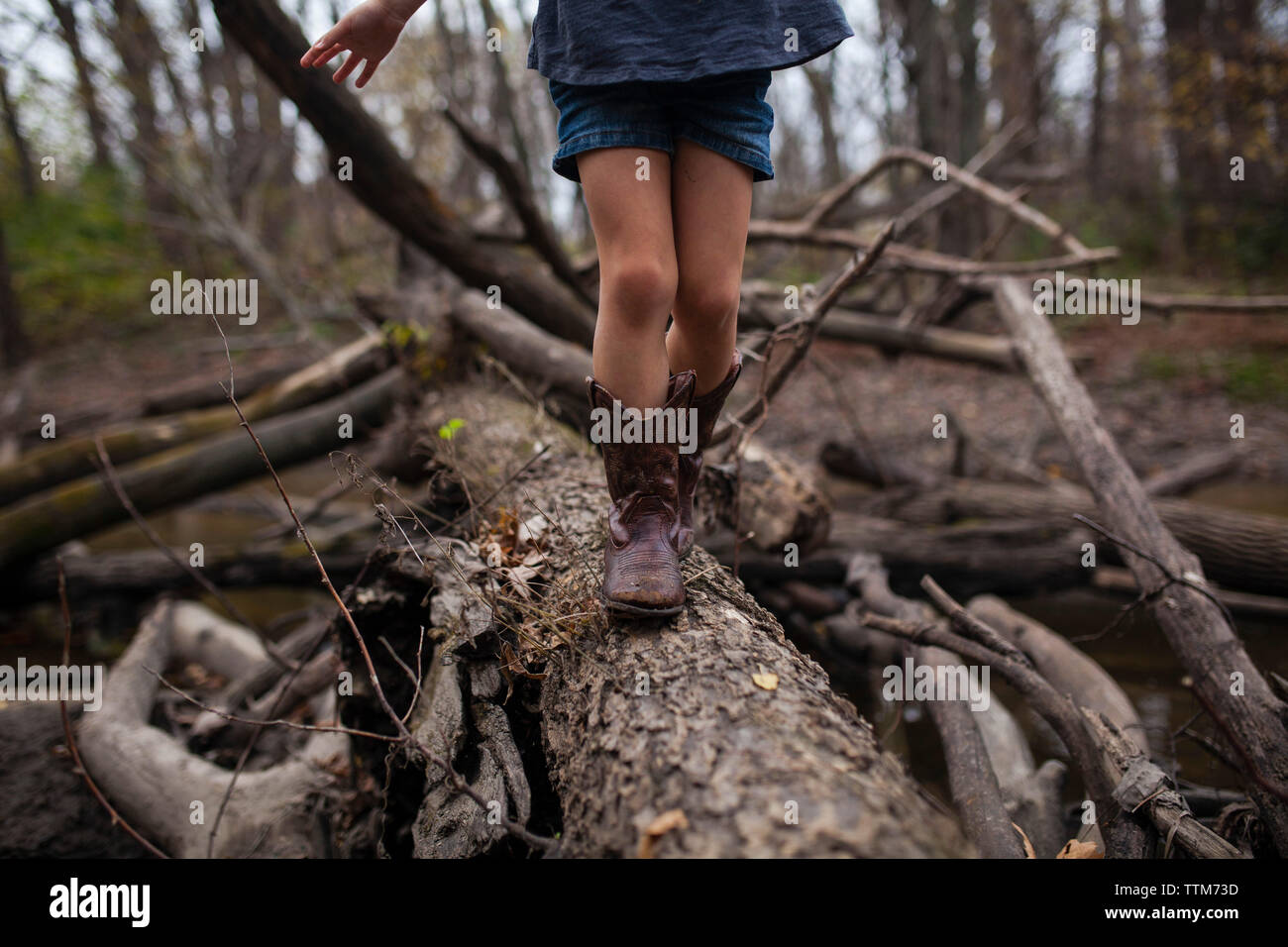 Walking tree hi-res stock photography and images - Alamy