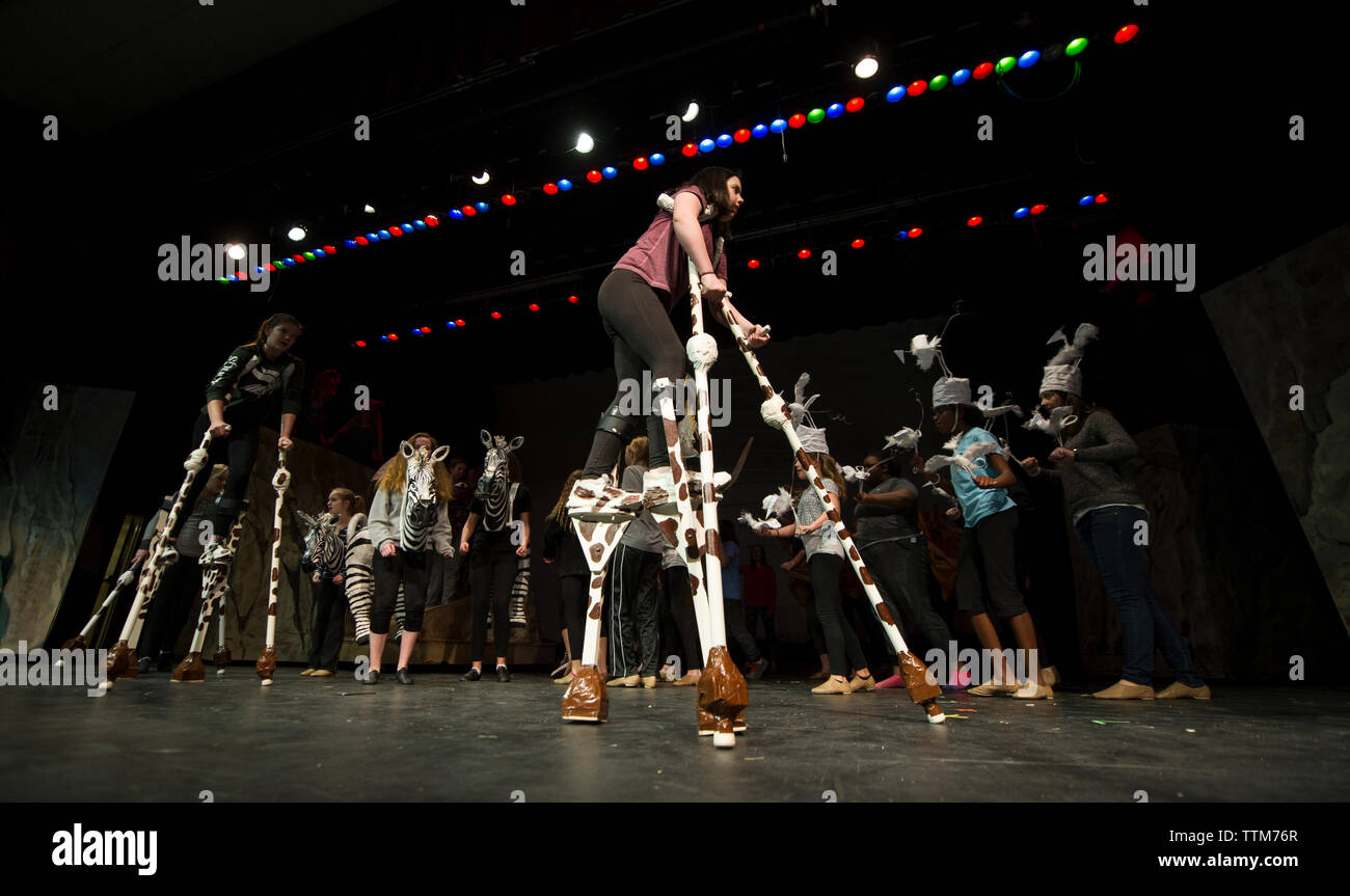 Lion king school play hi-res stock photography and images - Alamy