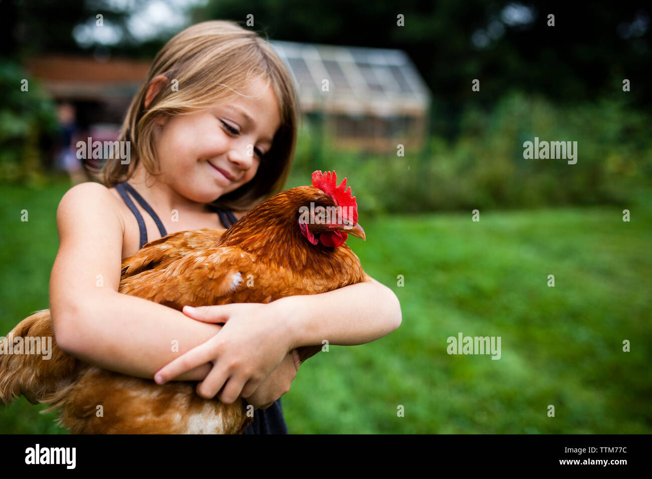 Smiling girl holding hen while standing in yard Stock Photo - Alamy