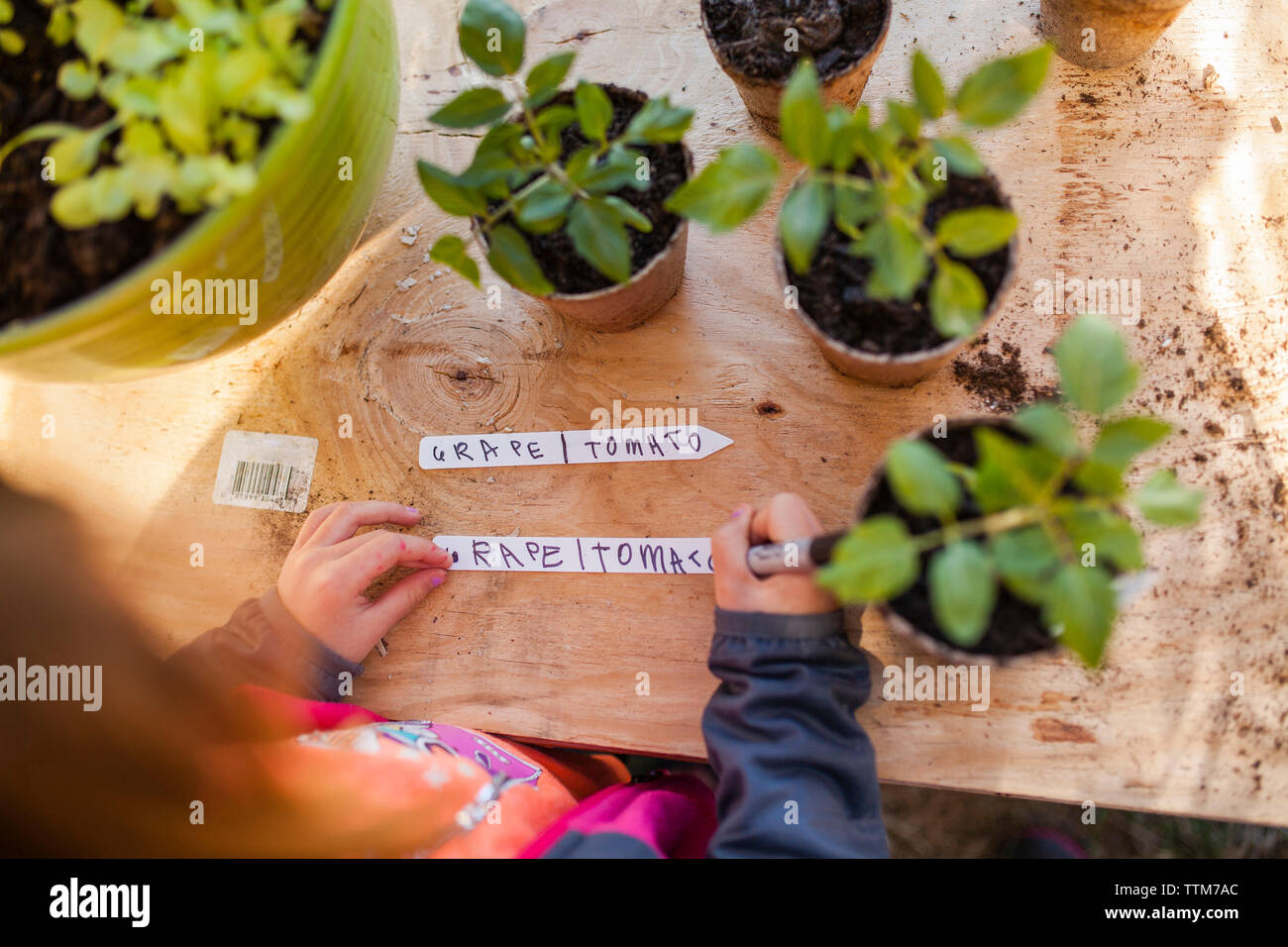 Plants with labels hi-res stock photography and images - Alamy