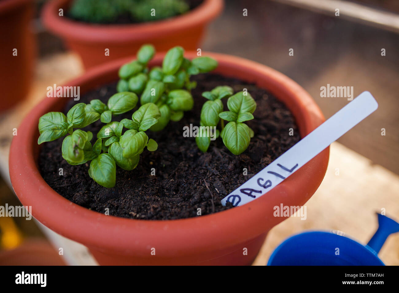 Close up food label hi-res stock photography and images - Alamy