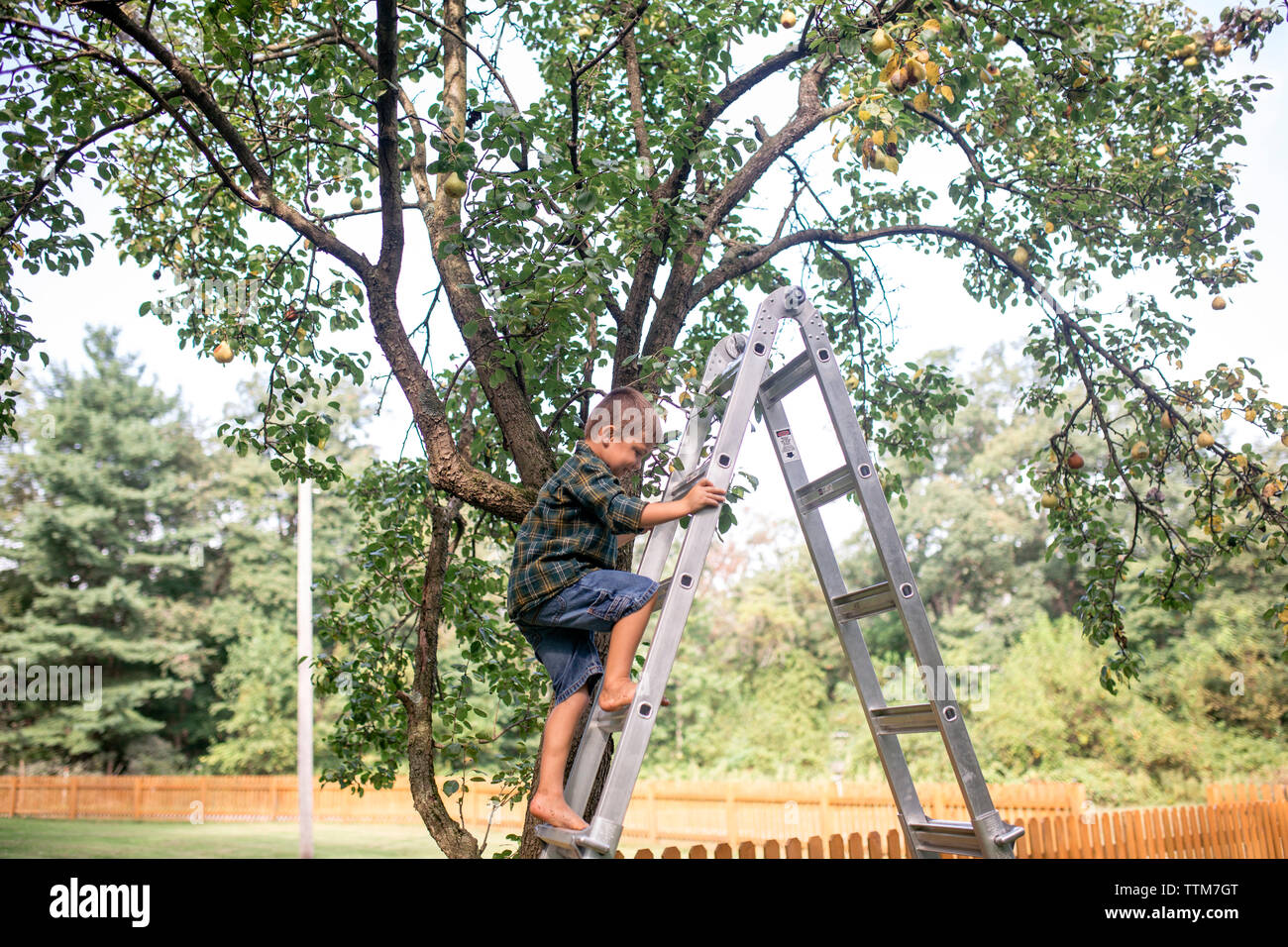 Boy climbing fence hi-res stock photography and images - Alamy