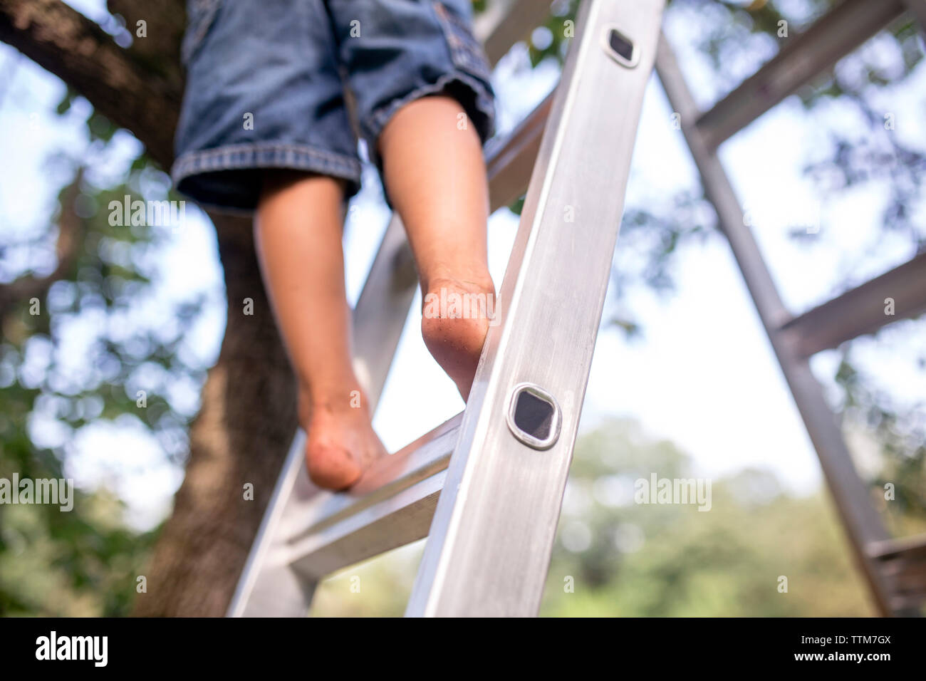 Boy standing on ladder hi-res stock photography and images - Alamy